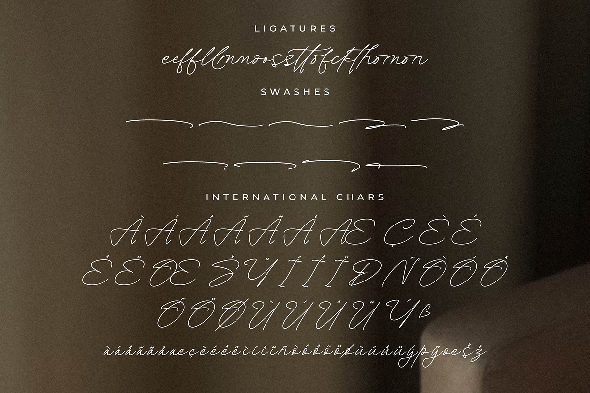 Celestial Heavenly Font Duo, a Serif Font by Storytype Studio