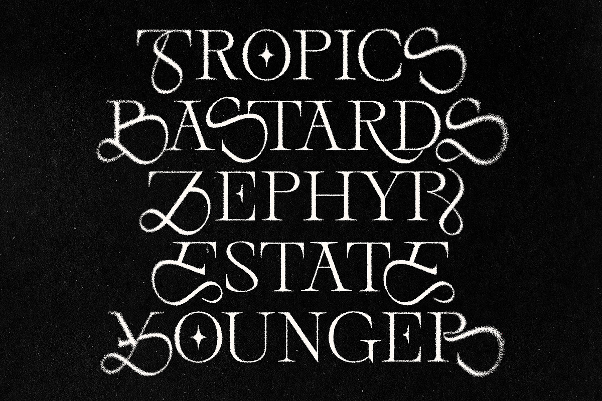 Silvera- Serif Typeface, a Serif Font by Tropical Type