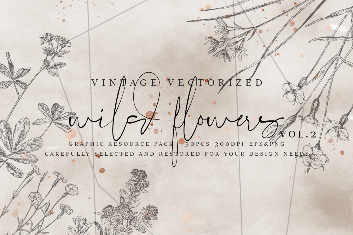 VintageVectorized-Wildflower Clipart, an Illustration by ThirdTryCharm