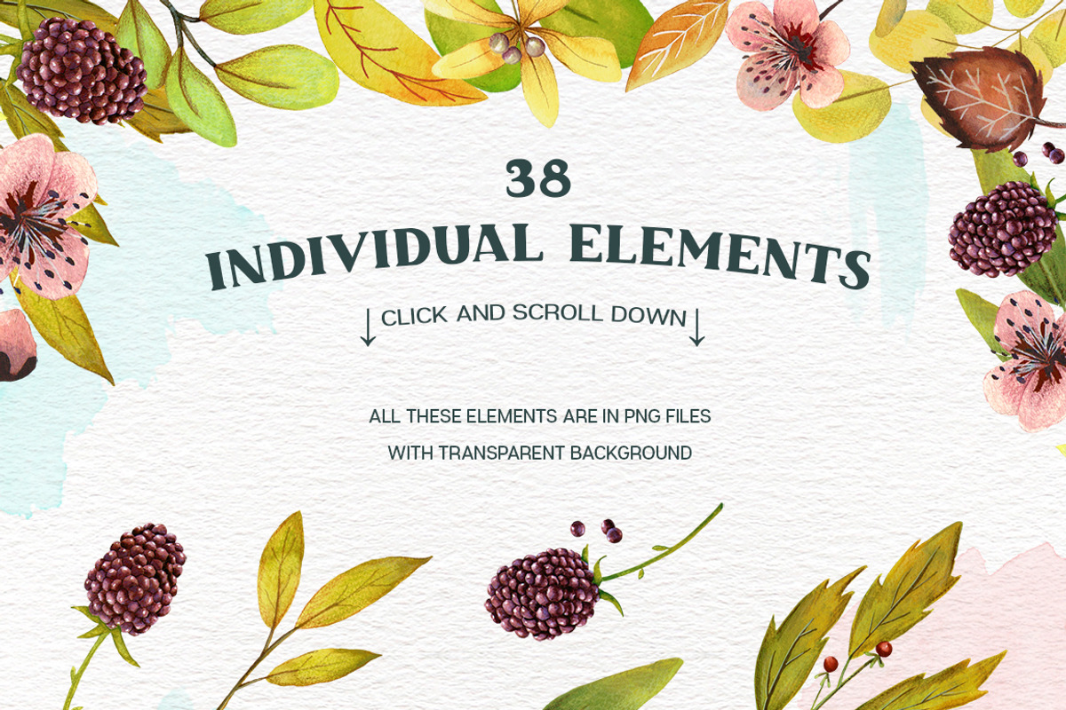 Animals and Nature - Design Kit, an Animal Illustration by Lisa's Balcony