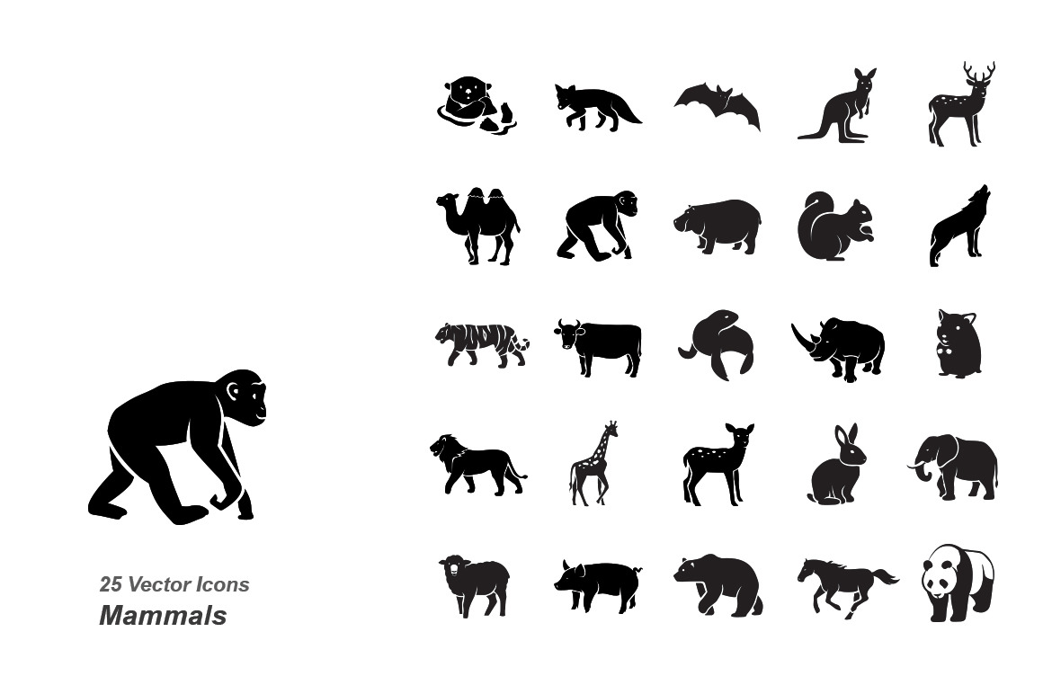 Mammals I vector icons, an Icon by Jisun Park