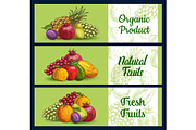 Tropical fruits banners, a Food Illustration by Vector Tradition