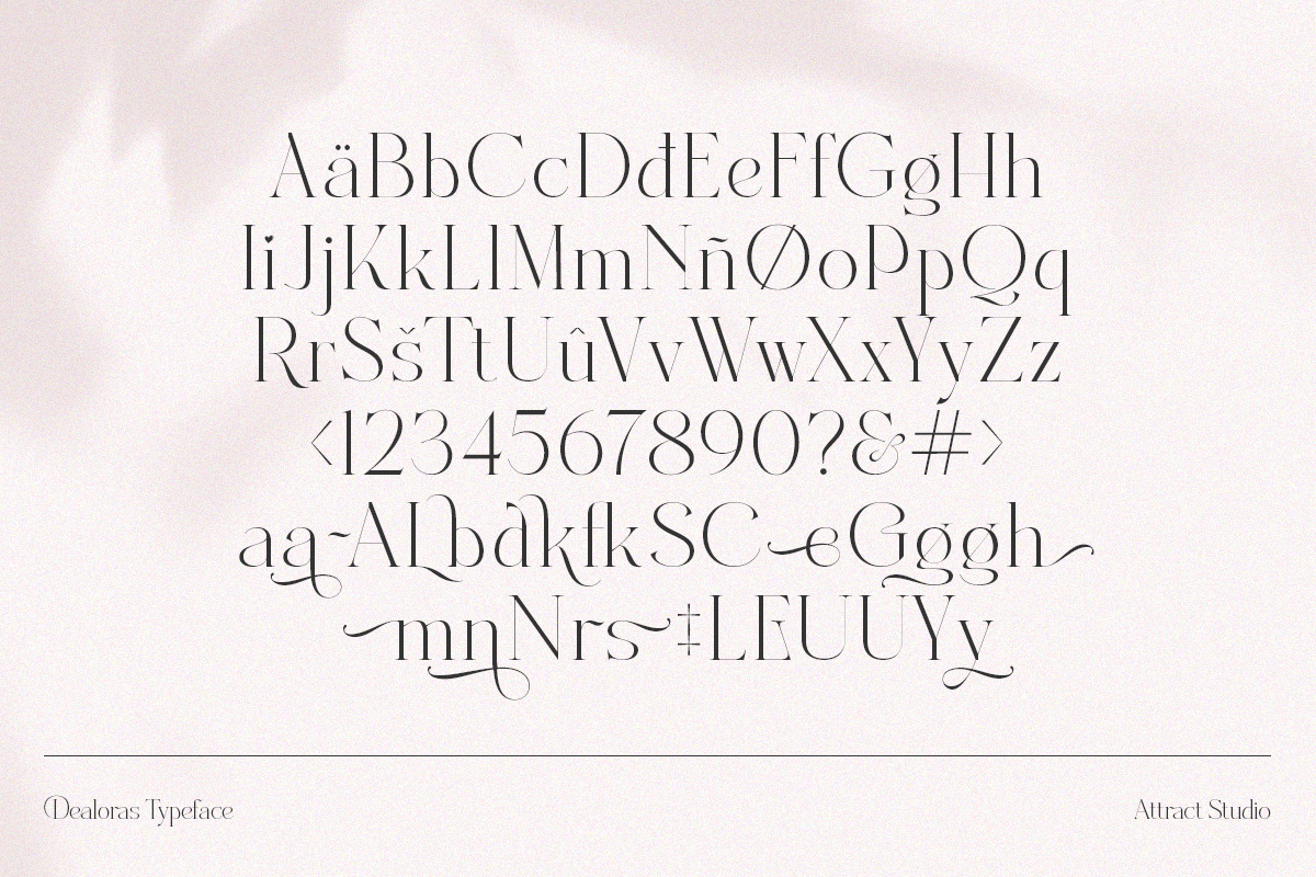 Dealoras Font Duo, a Serif Font by Attract Studio