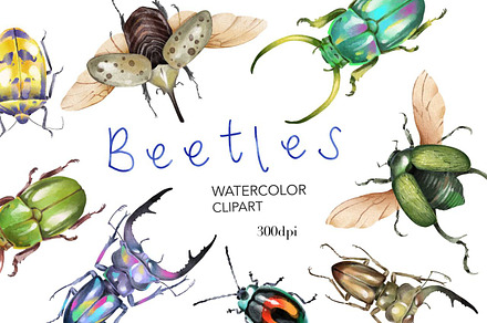 Word bug, a Decorative Illustration by Watercolor fantasy 26