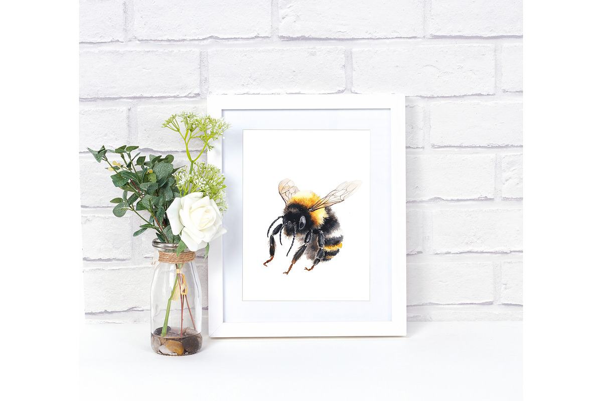 Watercolor Clipart, Bumble Bee art, an Animal Illustration by ...