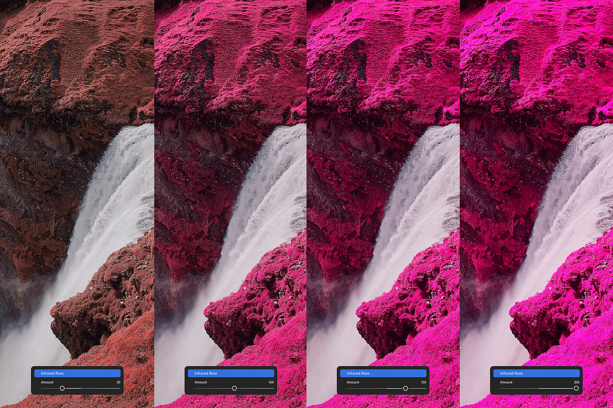 Infrared Rose — Lightroom