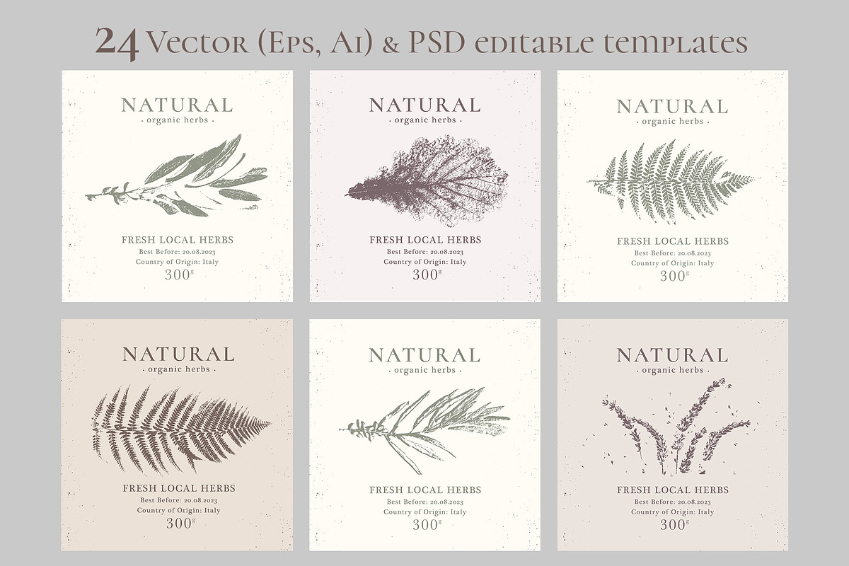 Herbal Design Kit: Vector & PSD, a Templates & Theme by Lumitar