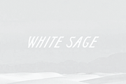 White Sage, a Script Font by James Coffman Design