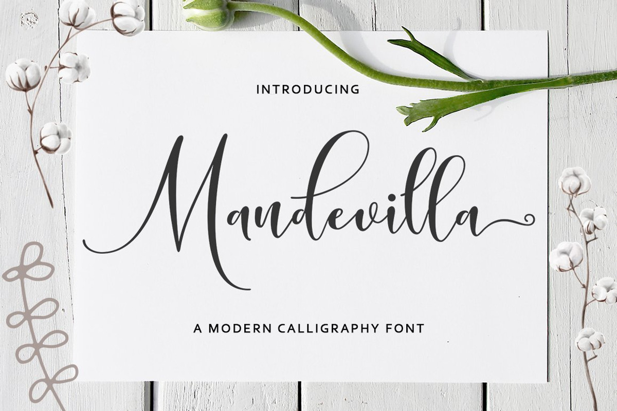 Mandevilla Script, a Script Font by Zane Studio