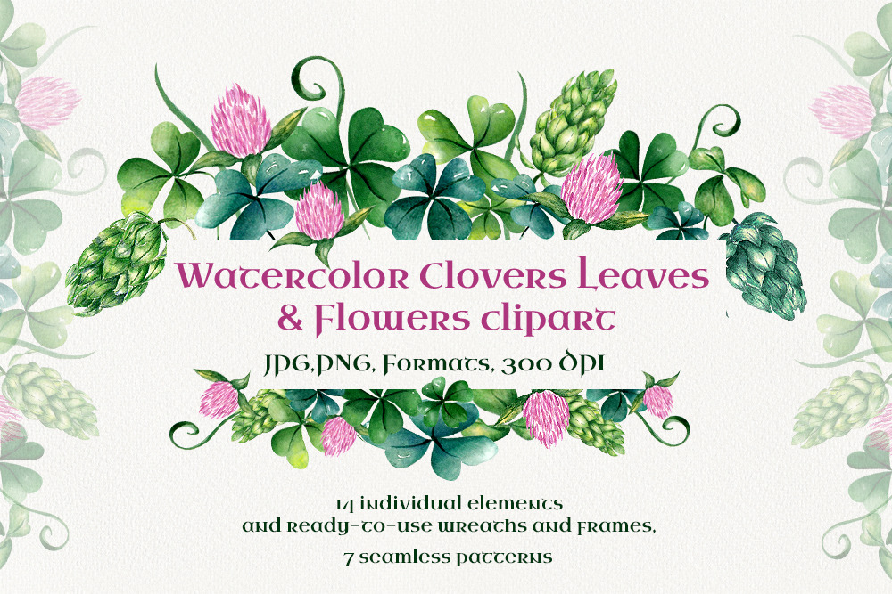 Watercolor clover clipart. Shamrock.