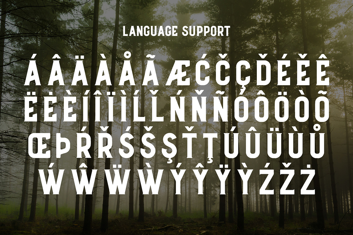 Oakwood - Rustic Font, a Font by Medialoot