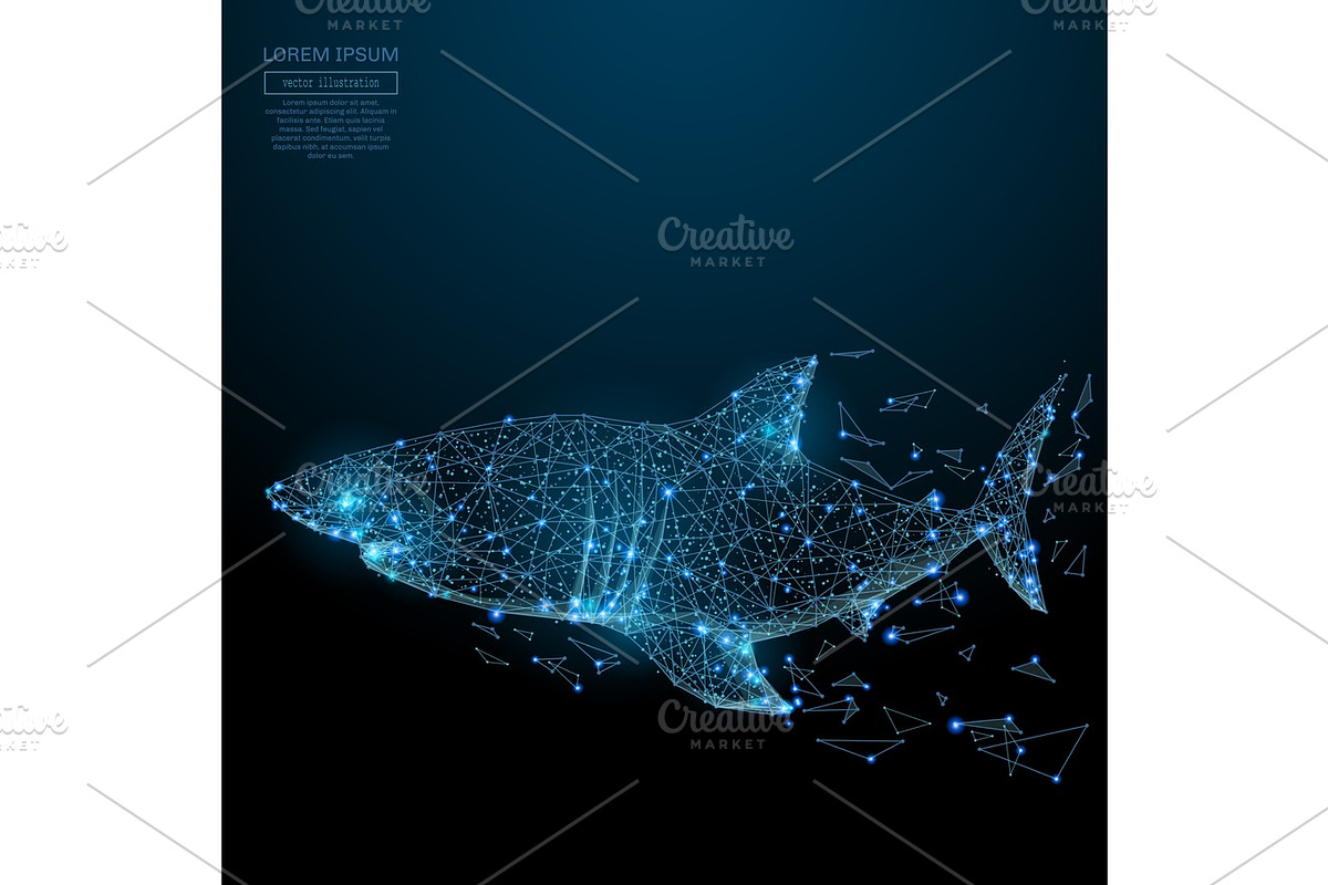 Shark low poly blue, an Animal Illustration by ANTTONIART | Creative Market