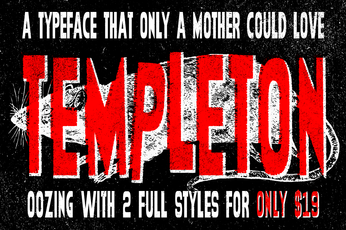 Templeton, a Sans Serif Font by Andrew Hochradel