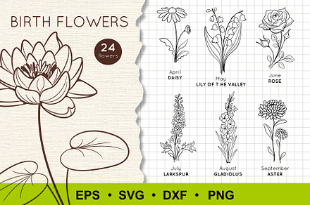 Birth Flowers Clip Art | Vector File, a Decorative Illustration by ...
