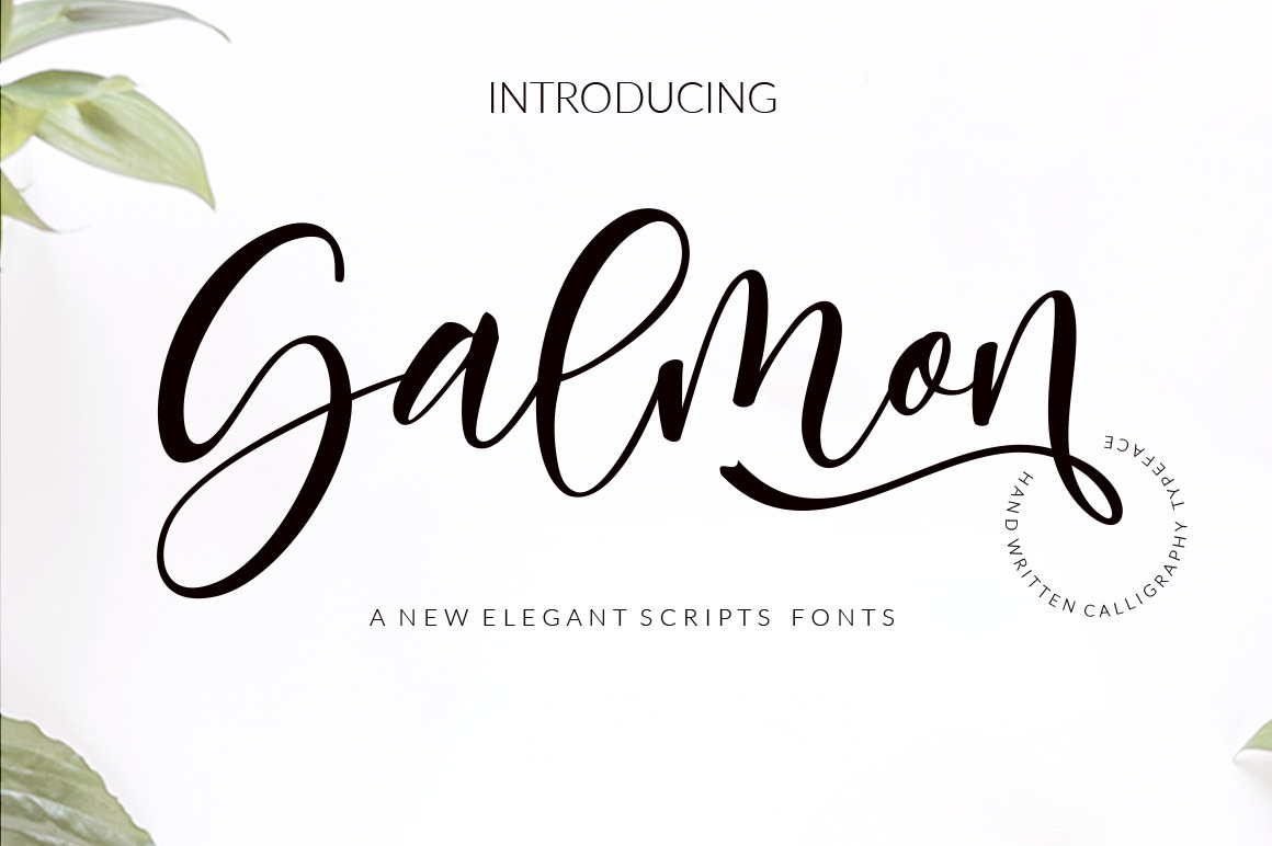Salmon, a Script Font by yanindesign