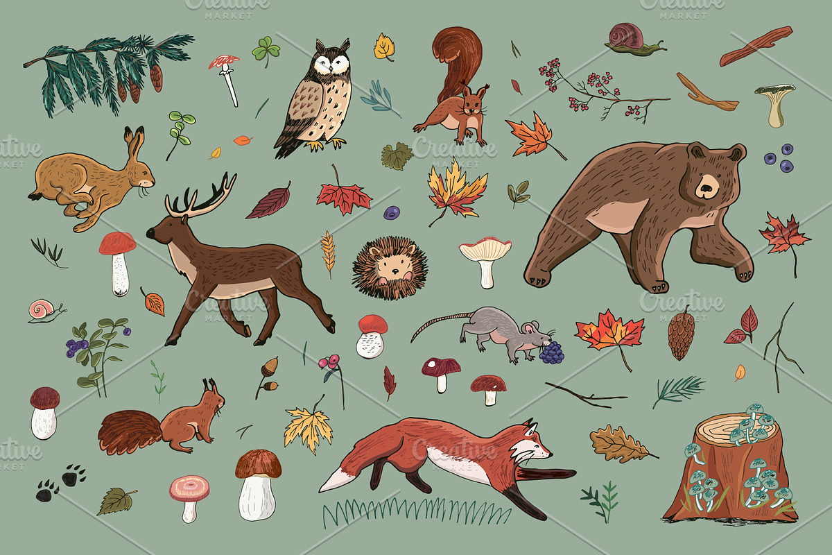 Autumn Forest Animals, an Animal Illustration by GooseFrol