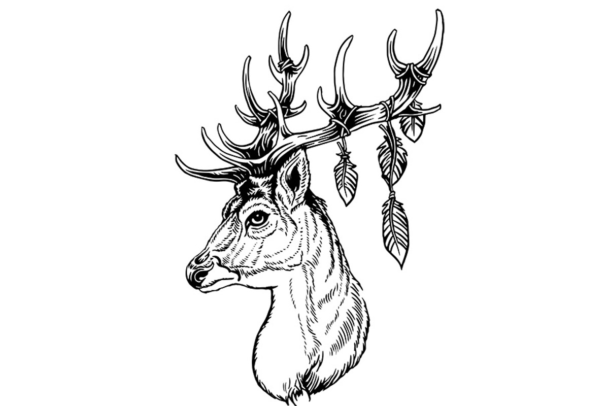 Native Elk - Flash, an Animal Illustration by Straw Castle
