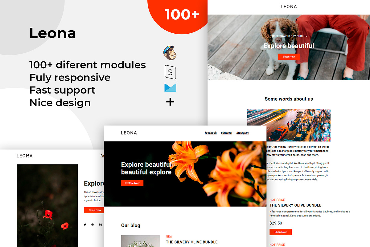 Leona – 100+ Modules Email template, an Email Template by ThemesCode
