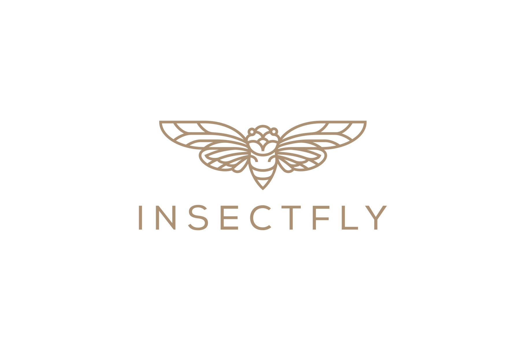 Insect Fly Lineart Logo, a Branding & Logo Template by Buqancreative