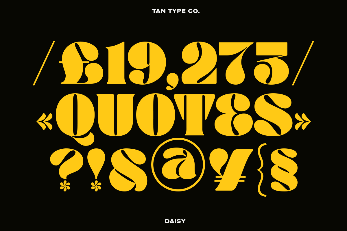 TAN - DAISY, a Serif Font by TanType
