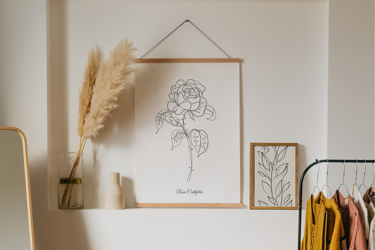 Minimalist Botanical Drawings, an Illustration by amber&ink