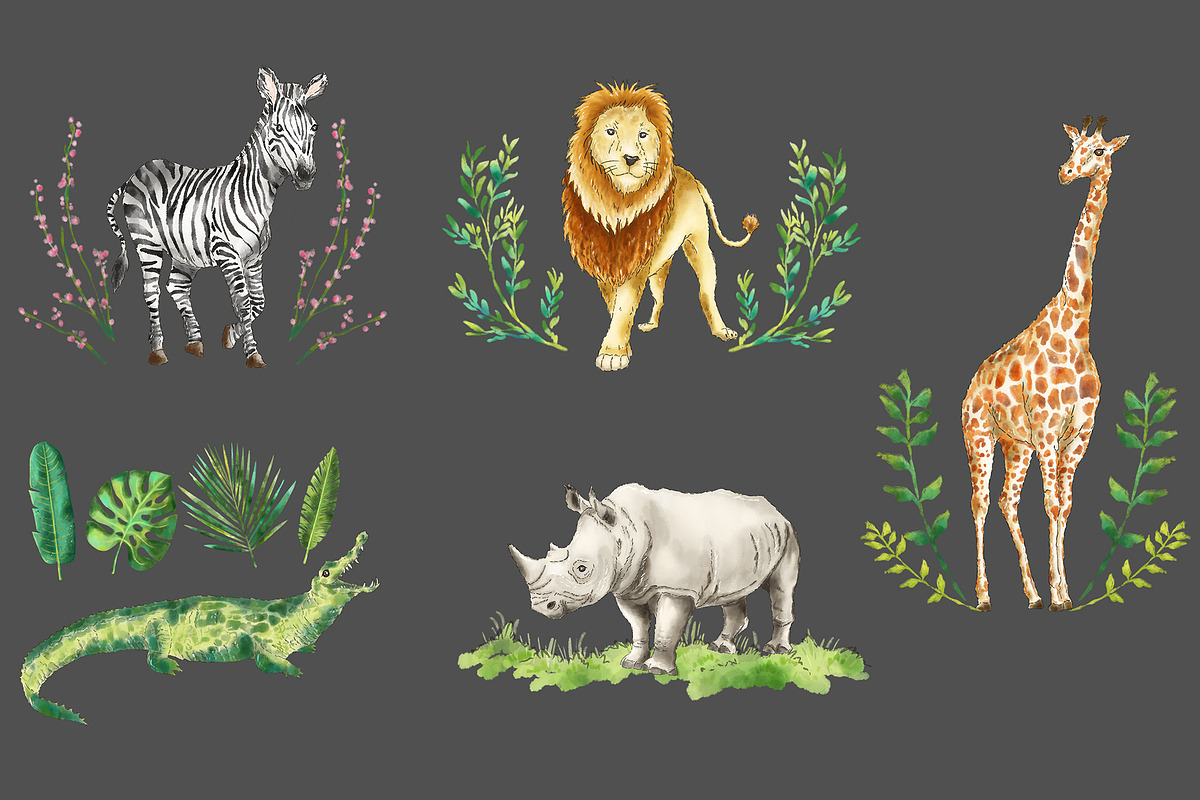 Safari Jungle African animal clipart, an Animal Illustration by Magic ...