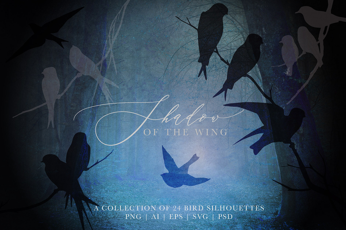 Shadow of the Wing Bird Silhouettes, an Object Graphic by Eclectic ...