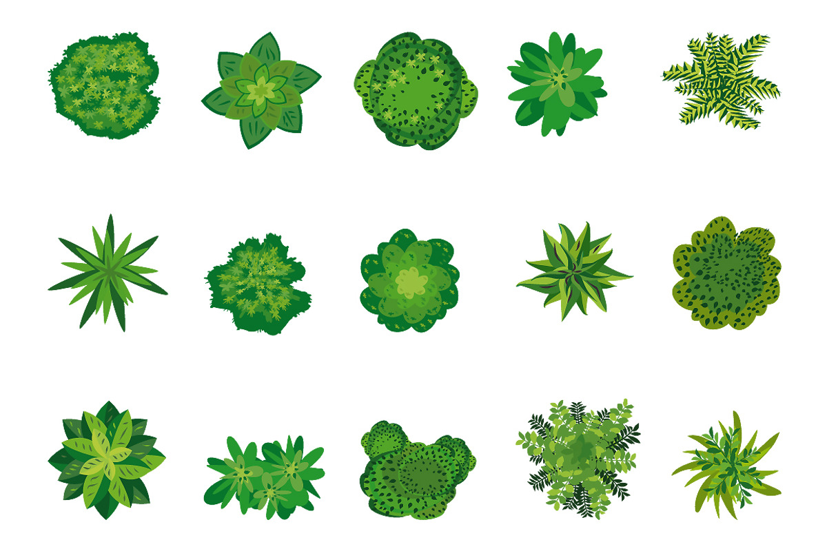 Trees top view, an Object Graphic by AlexZeL