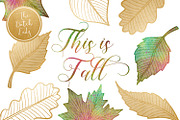Autumn & Fall Leaves Clipart Set, an Illustration by The Dutch Lady Designs