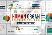 Human Organ Infographics, a Presentation Template by PutraCetol Studio