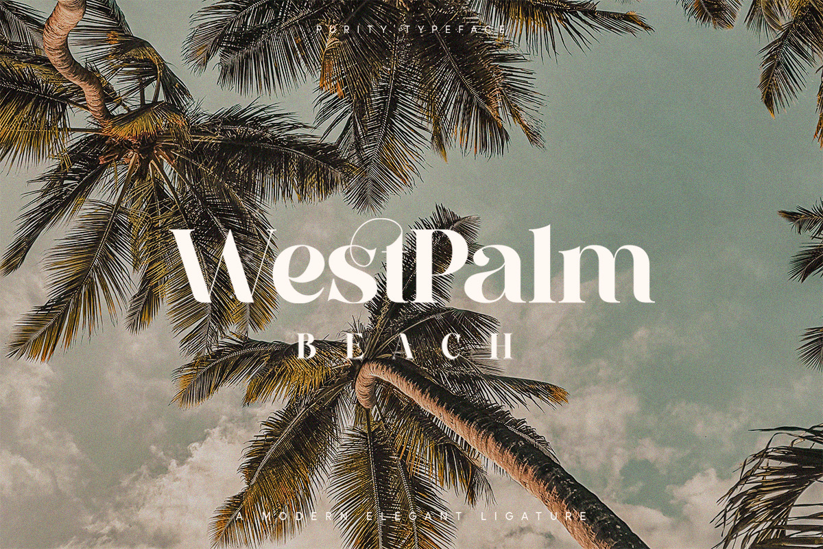 Purity - Modern Ligature Font, a Serif Font by TypeFounder