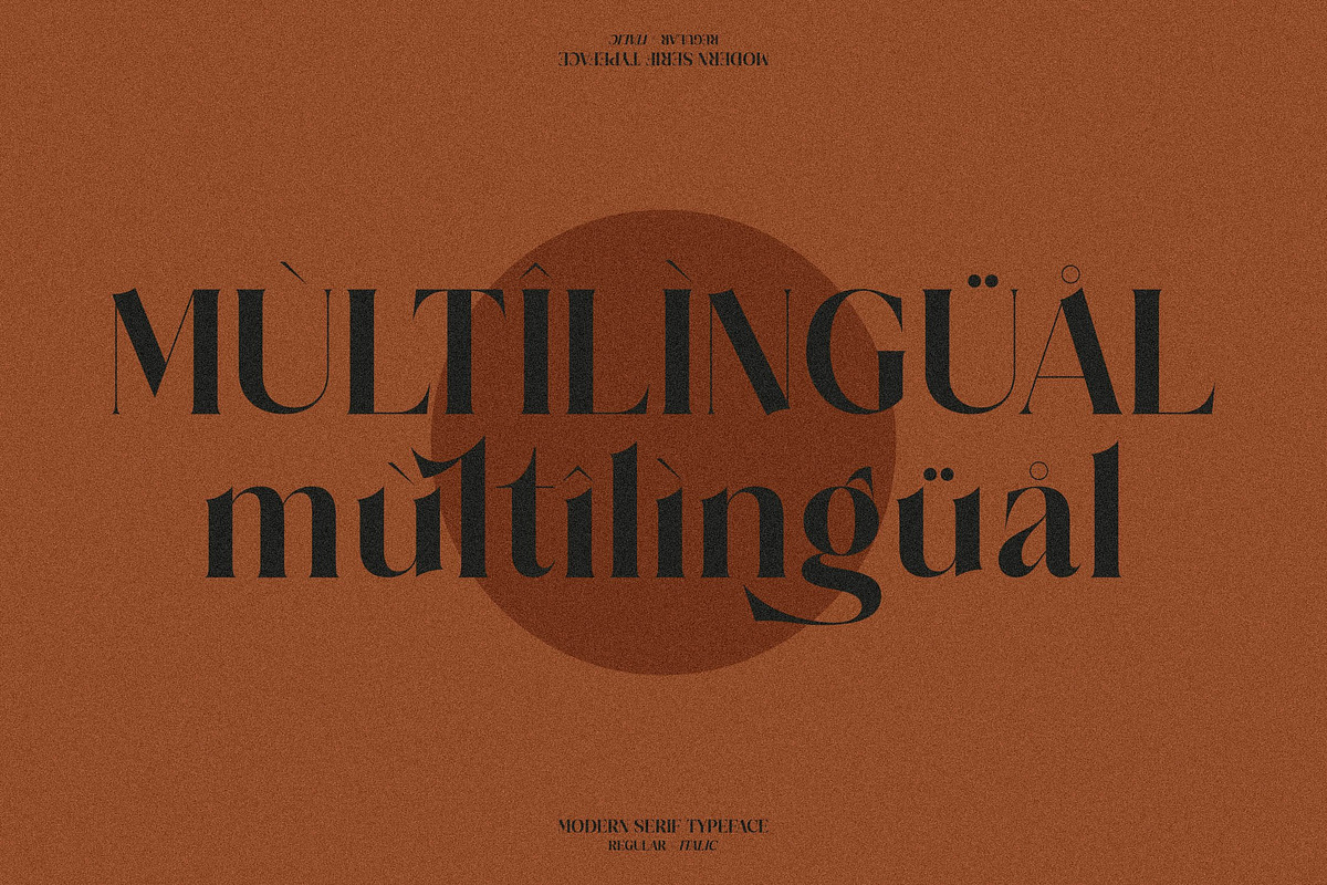 Salgesis Modern Serif Typeface, a Serif Font by Storytype Studio