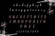 One Dance, a Script Font by Font Bundles