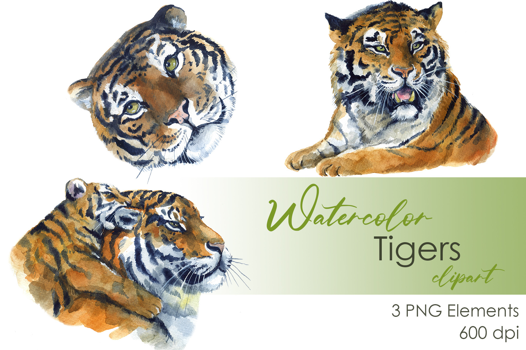 Watercolor cute tiger clipart png, an Animal Illustration by ...