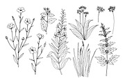 Wildflowers and herbs line sketch, a Decorative Illustration by irina ...