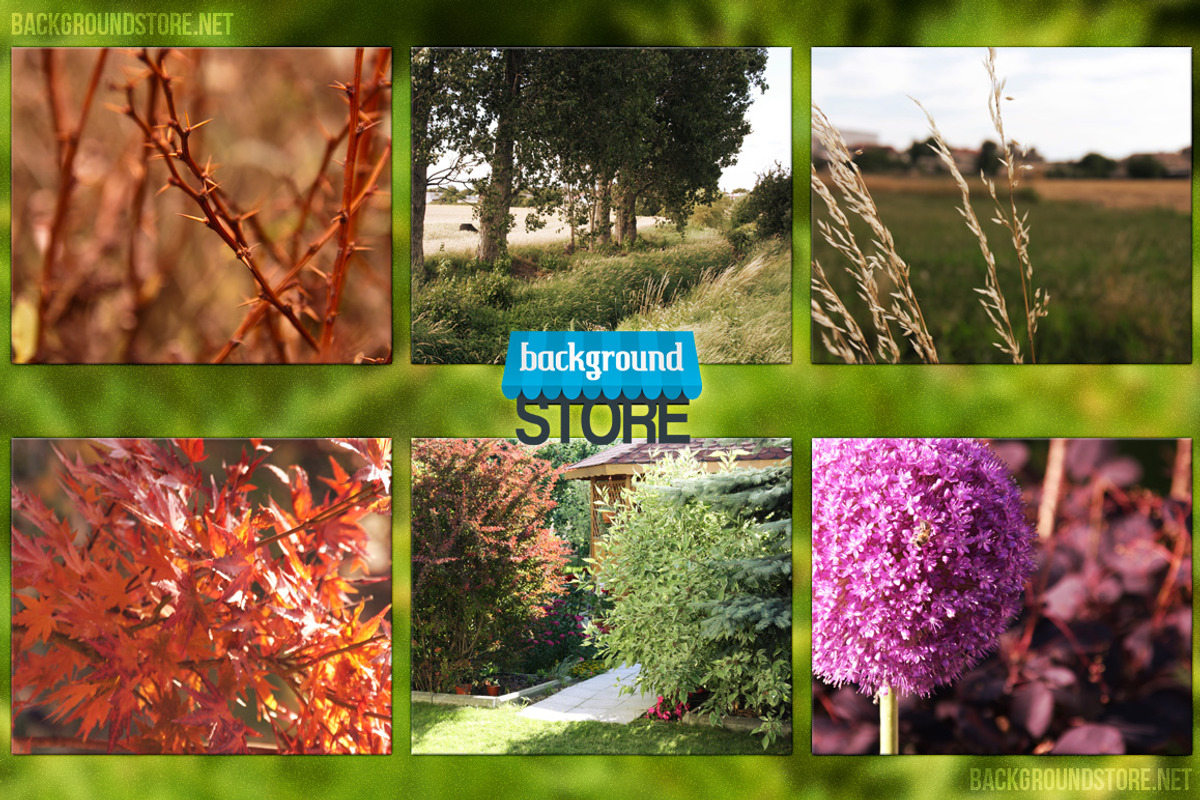 Nature Images Bundle, a Texture Graphic by Backgrounds Store