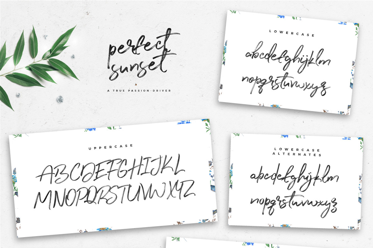 Perfect Sunset Typeface, a Script Font by Mats-Peter Forss