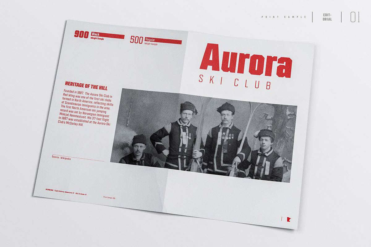 Redwing | Athletic Block Typeface