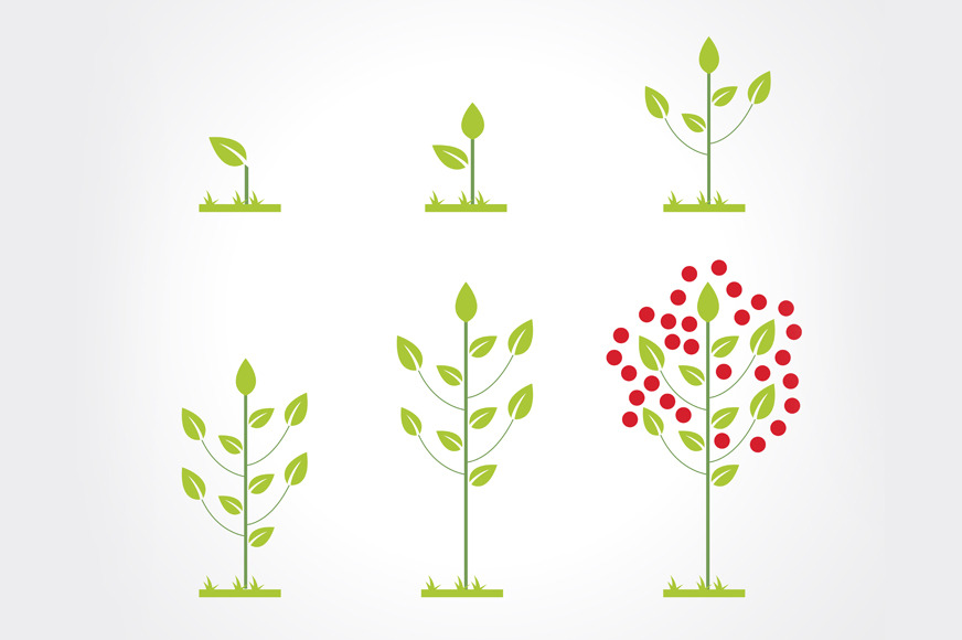 Growing tree icon set, an Icon by Di Bronzino