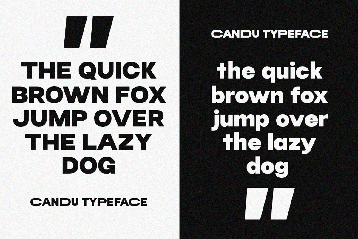 Candu Typeface, a Sans Serif Font by Dora Typefoundry