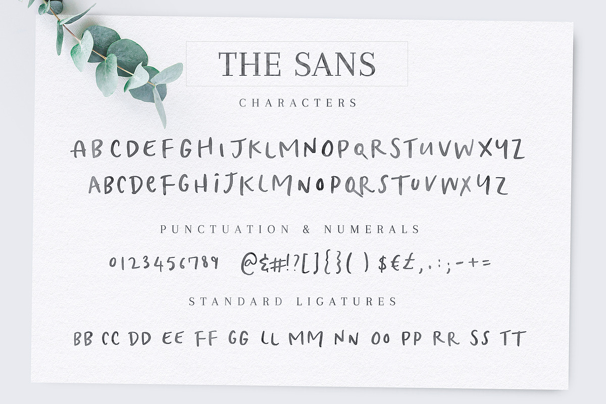 Poppit & Finch Fonts & Illustrations, a Script Font by Nicky Laatz