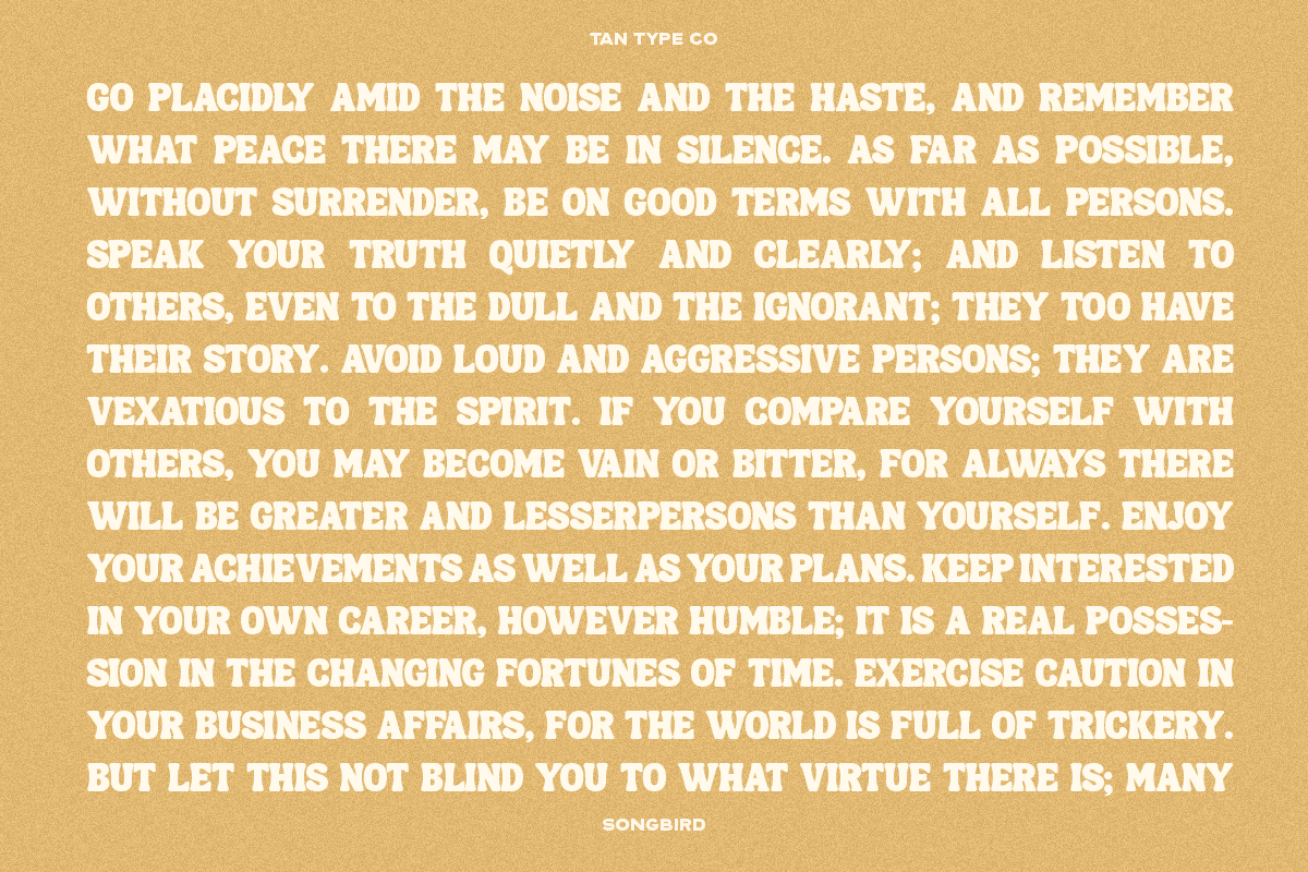 TAN - SONGBIRD, a Font by TanType