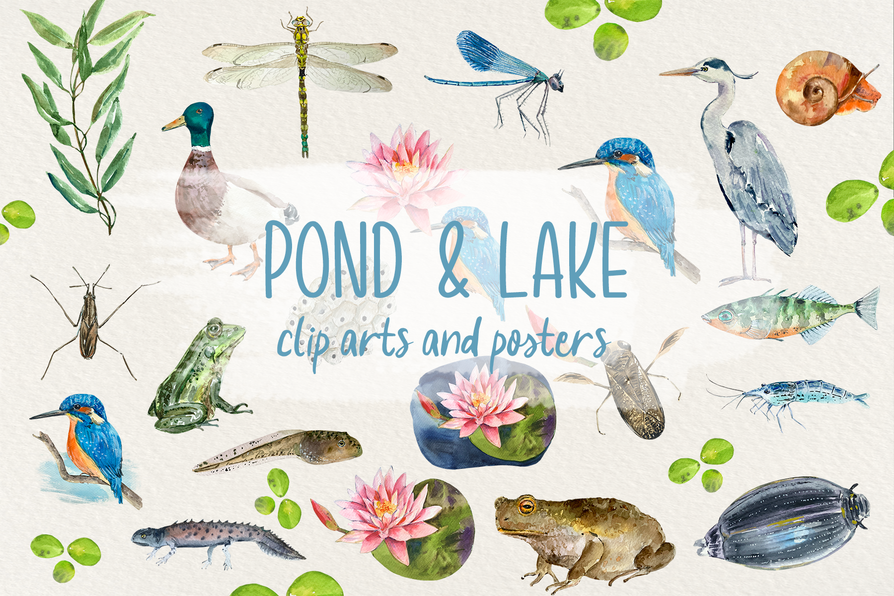Pond and Lake Clip Arts and Posters, an Education Illustration by Tati ...