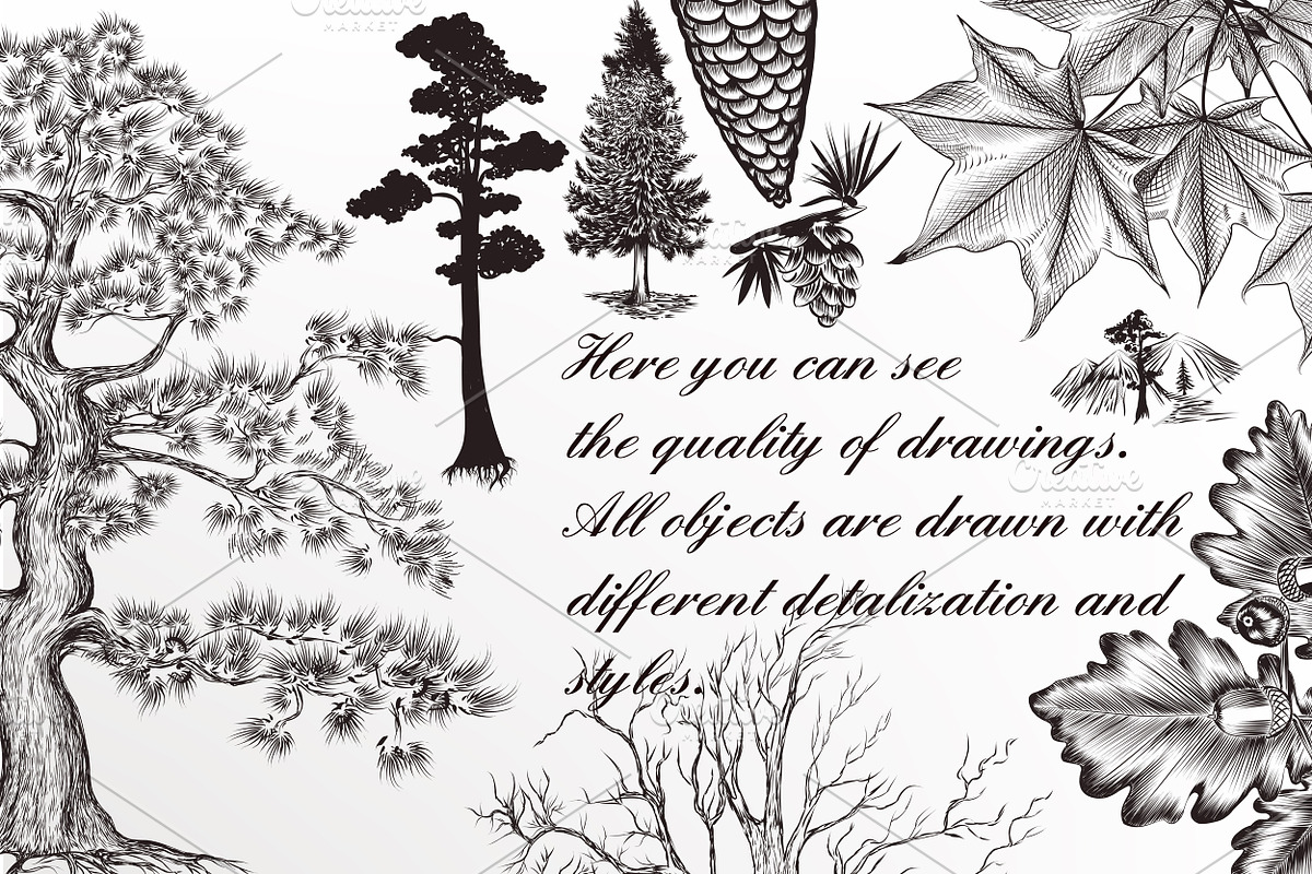 Big set of detailed vector trees, an Object Graphic by FleurArt