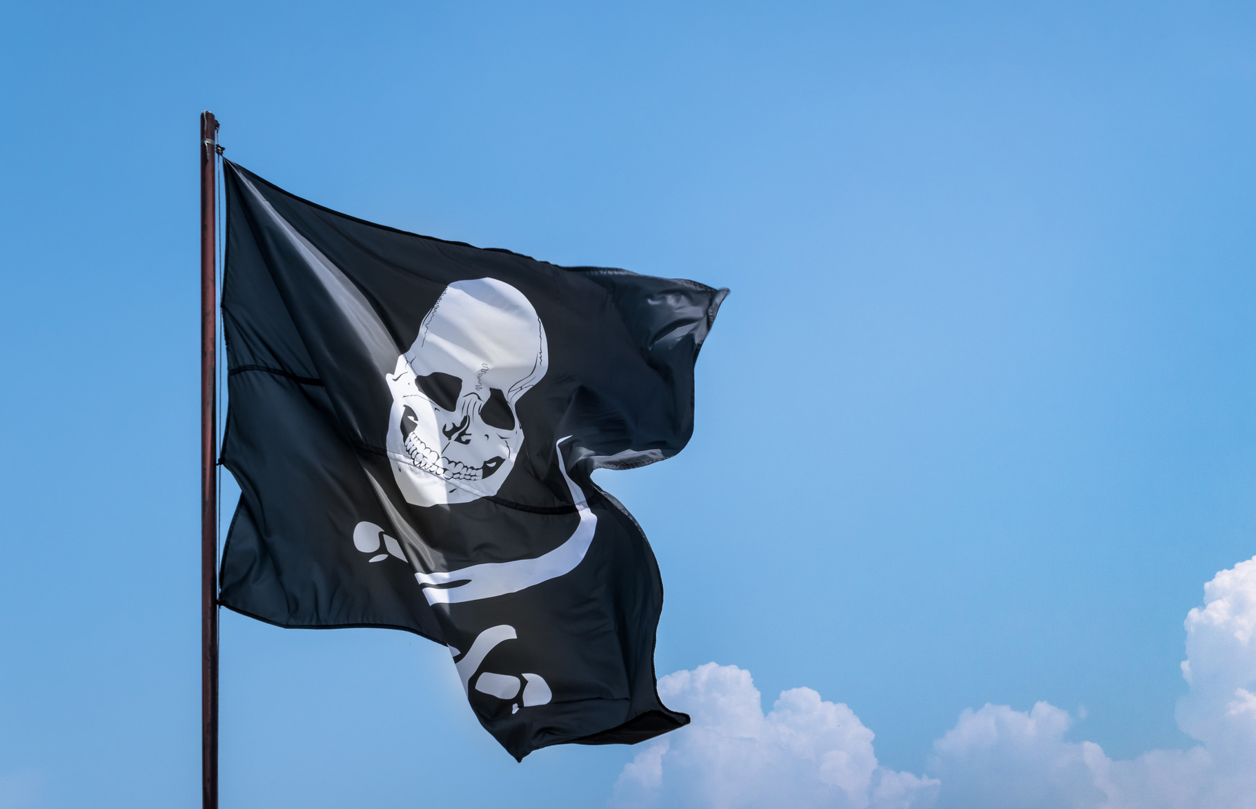 PIrates flag, an Arts & Entertainment Photo by KYNA STUDIO