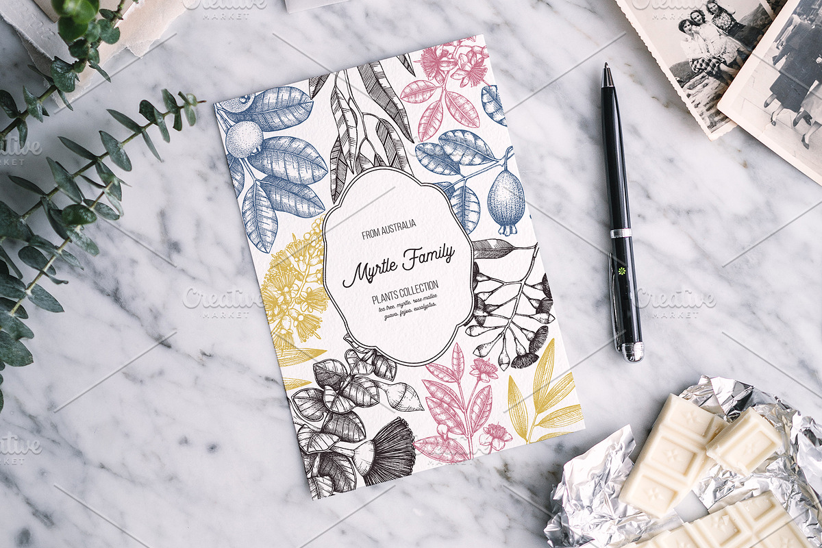 Myrtle Plants Collection, a Seasonal Illustration by Yevheniia
