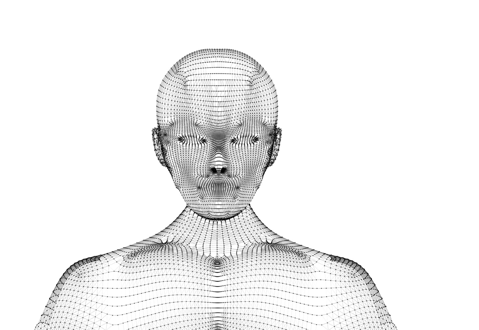 Human wireframe model with connection lines on white background ...