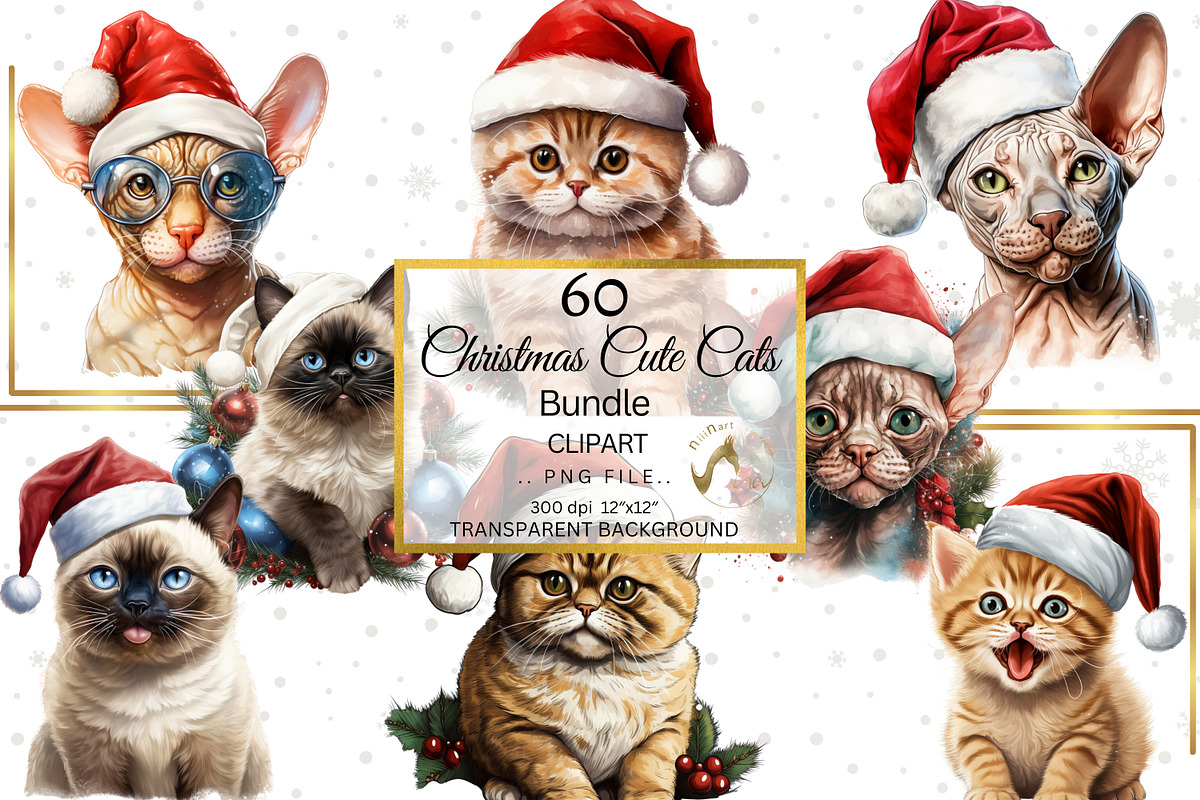 Cute Christmas Cats PNG Bundle, an Animal Illustration by NiiiNArt