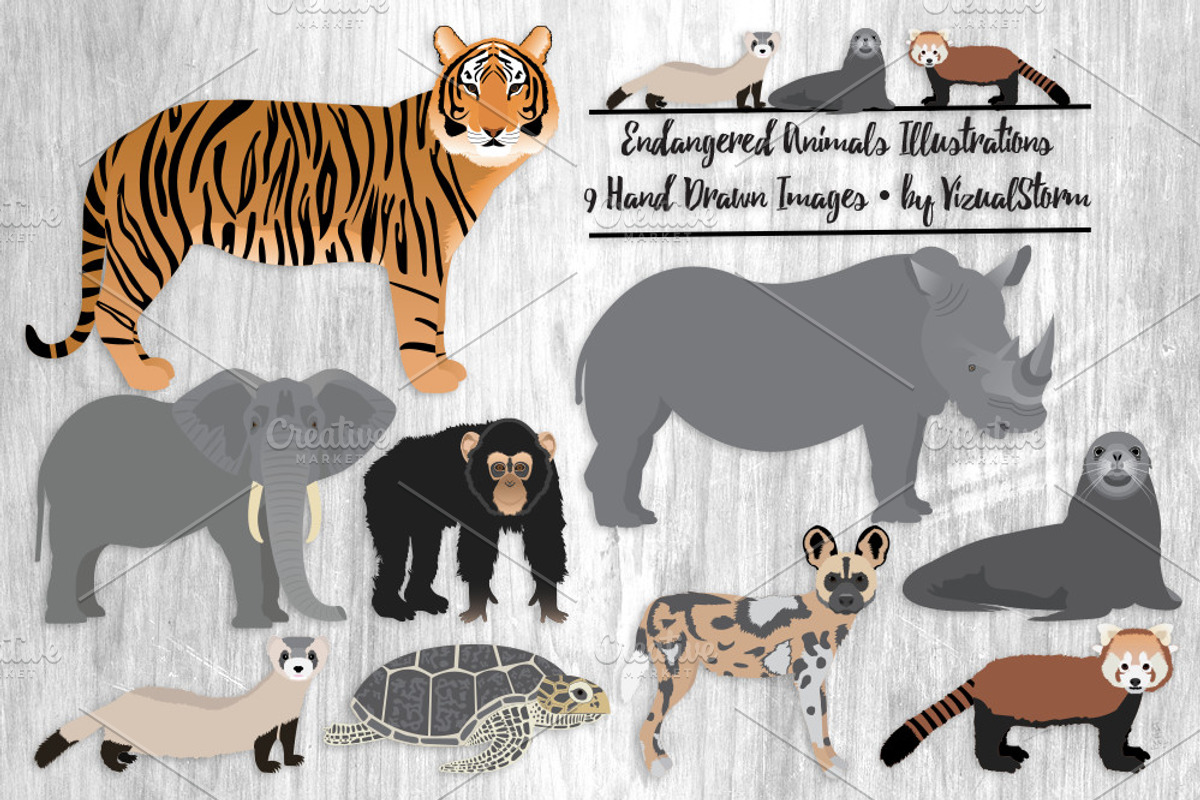 Endangered Animals Illustrations, an Animal Illustration by VizualStorm