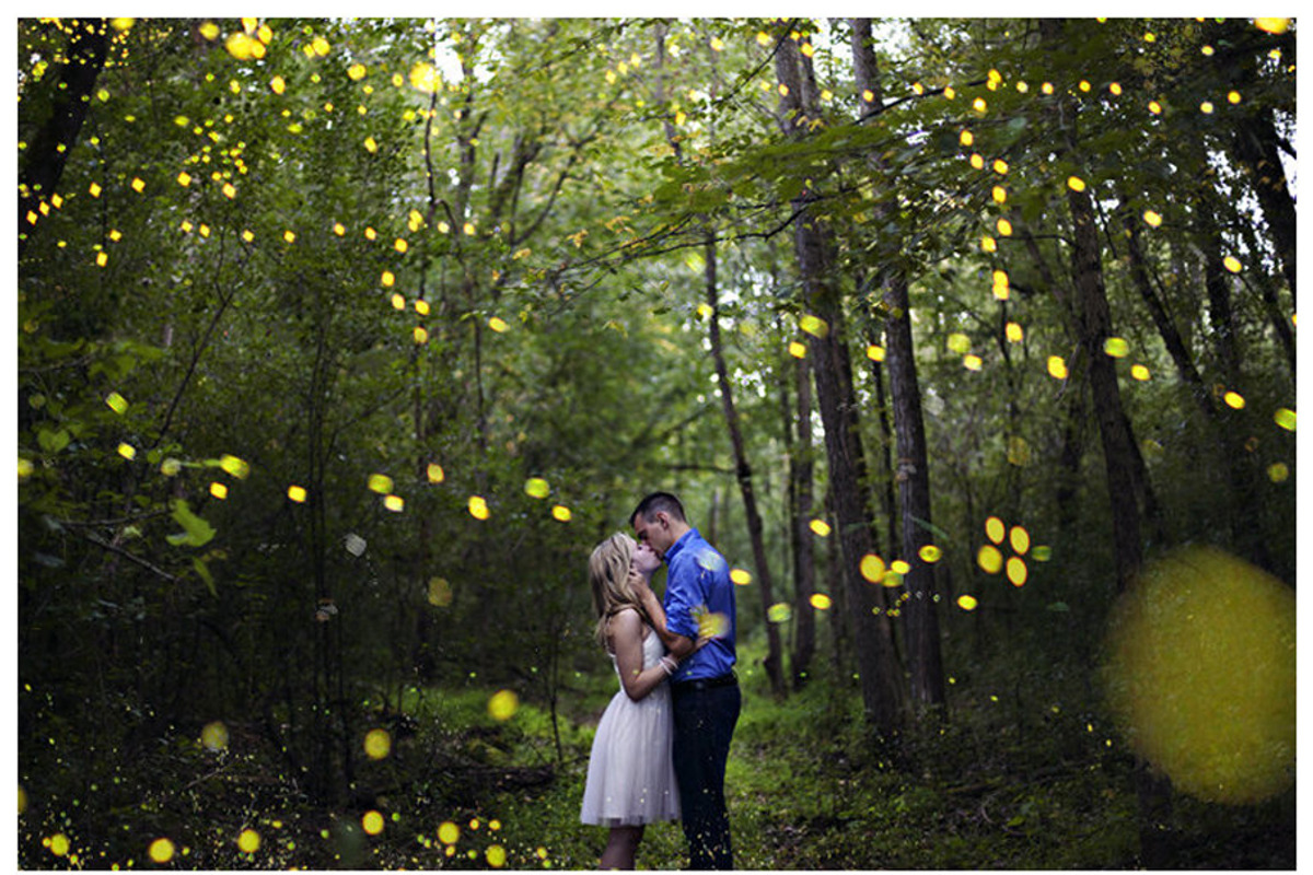 Realistic Fireflies photo overlays, a Plug-in Add-On by ZephyrDigital